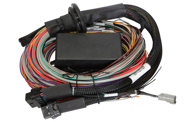 Haltech Elite 1500 ECU System - Turbosource